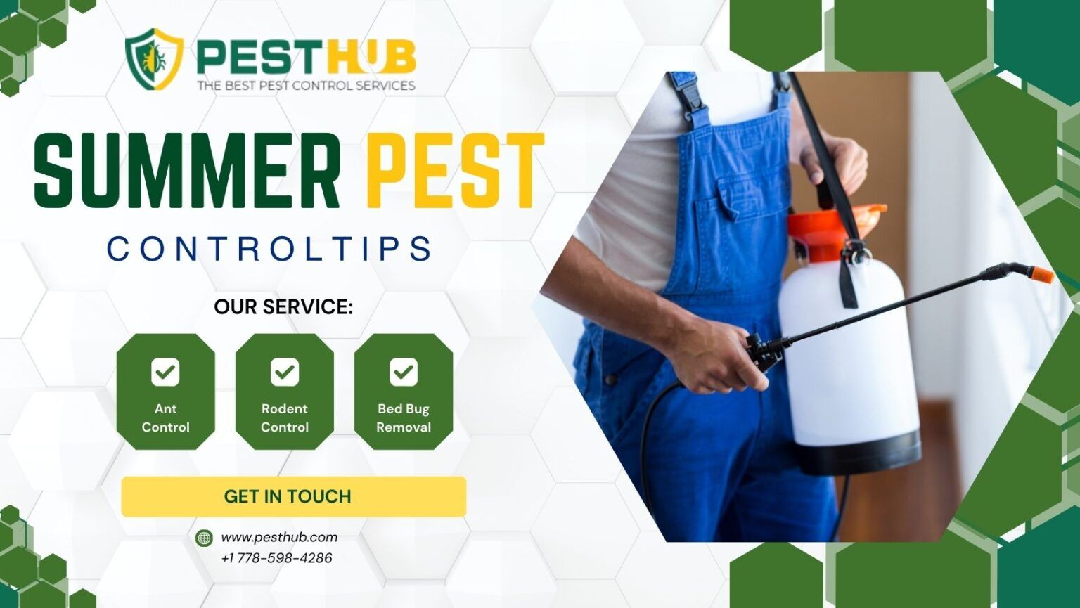 Summer Pest Control Tips - Prevent Ants, Wasps & Rodents in BC